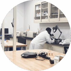 Seymour Facility | Spray Drying & Finished Dosage | Codis